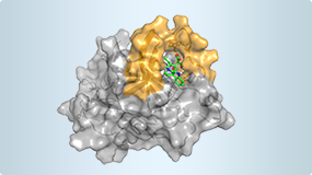 Building blocks | Bioactive small molecules | ChemScene llc