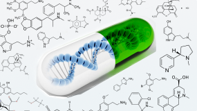 Building blocks | Bioactive small molecules | ChemScene llc
